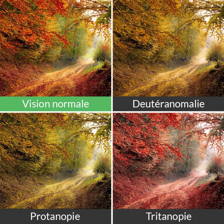 Voici comment les daltoniens voient le monde - ipnoze