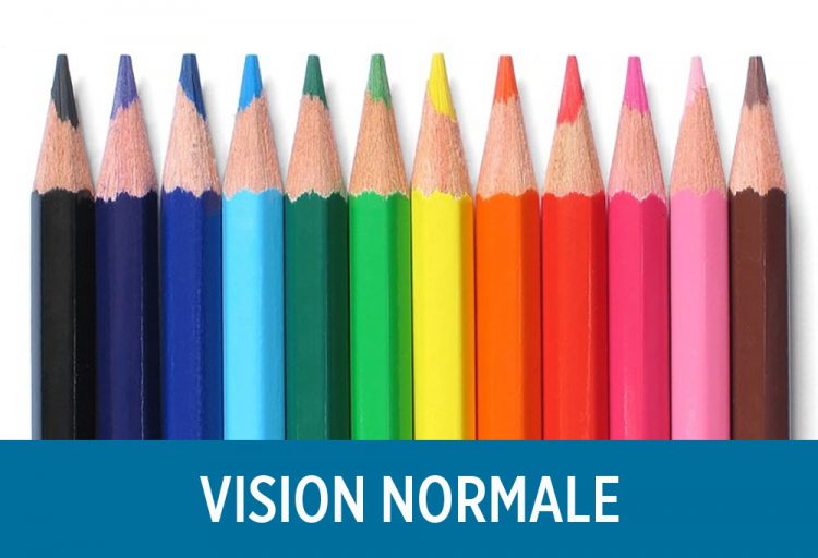 Voici comment les daltoniens voient le monde - ipnoze