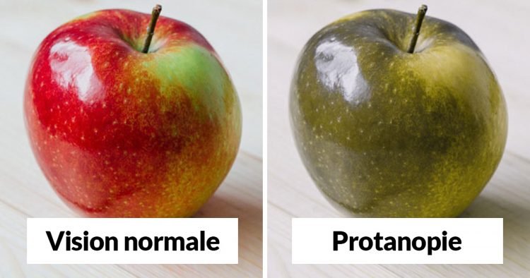 Voici comment les daltoniens voient le monde - ipnoze
