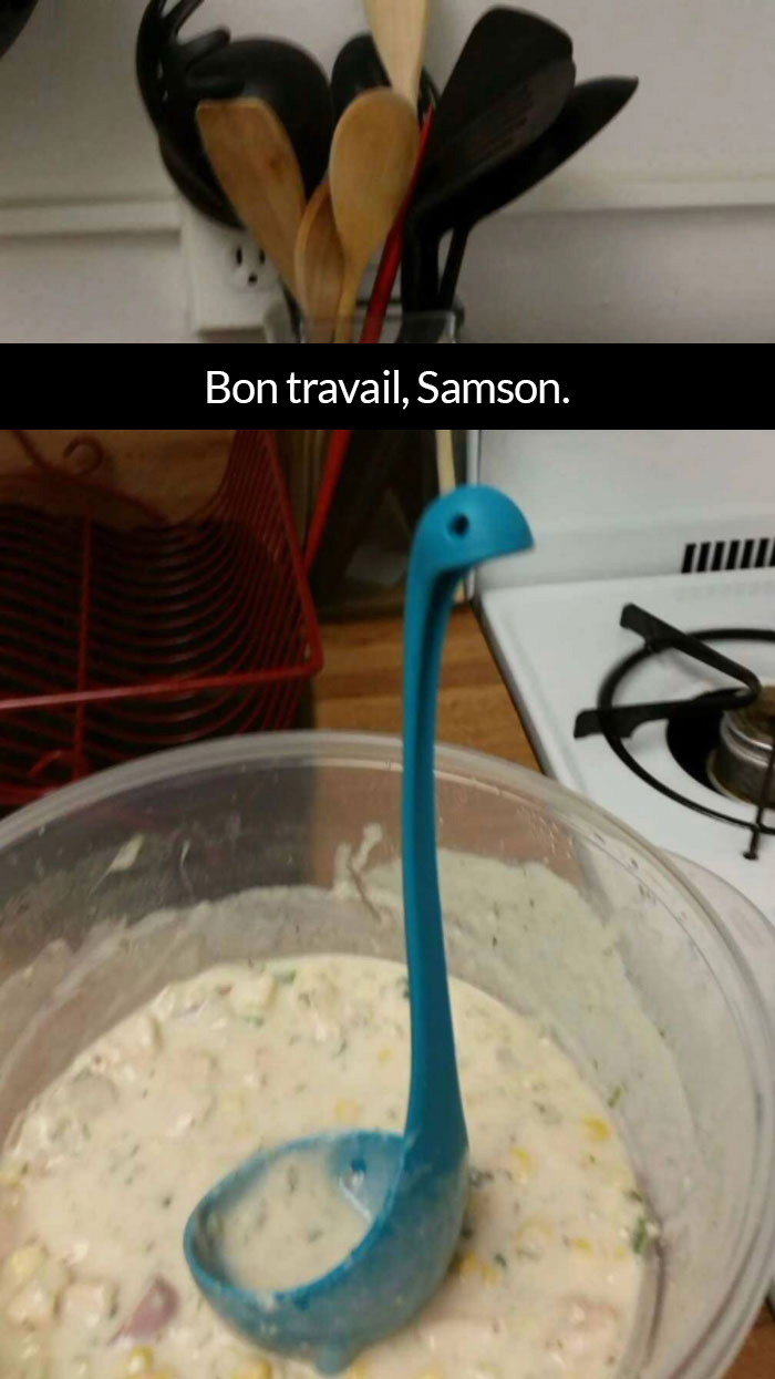 Cette femme a créé un compte Instagram à Samson la louche et les gens ...