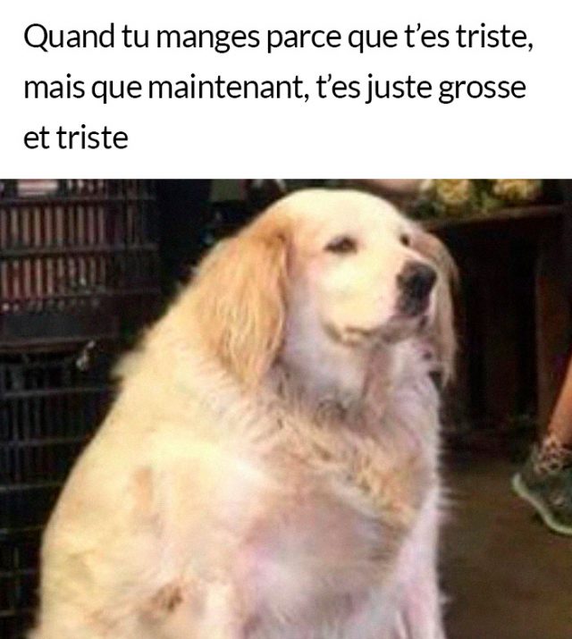 23 blagues sur la perte de poids et les régimes qui vont te faire ...