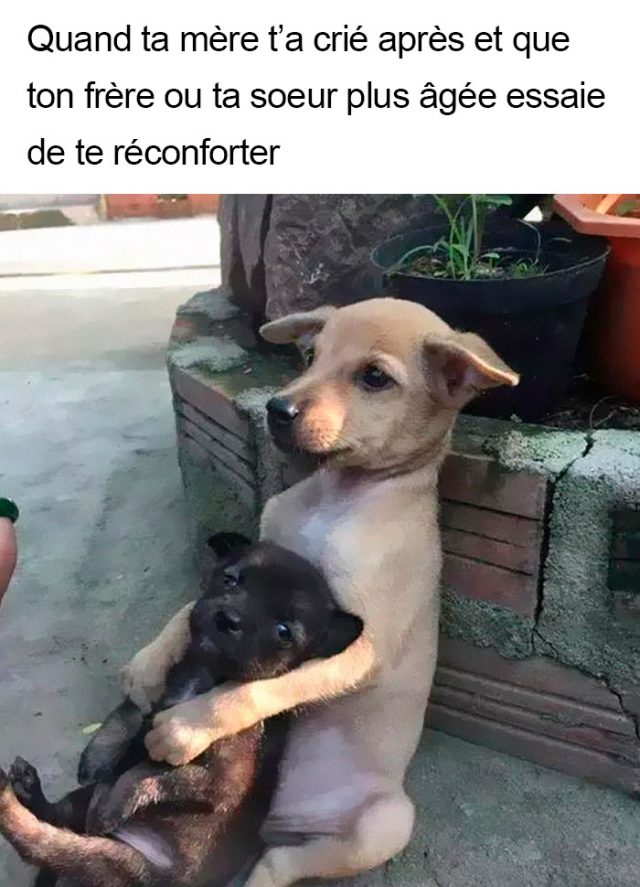 20 meilleures blagues de frères et soeurs de tous les temps - ipnoze 20 meilleures blagues de frères et soeurs de tous les temps - ipnoze