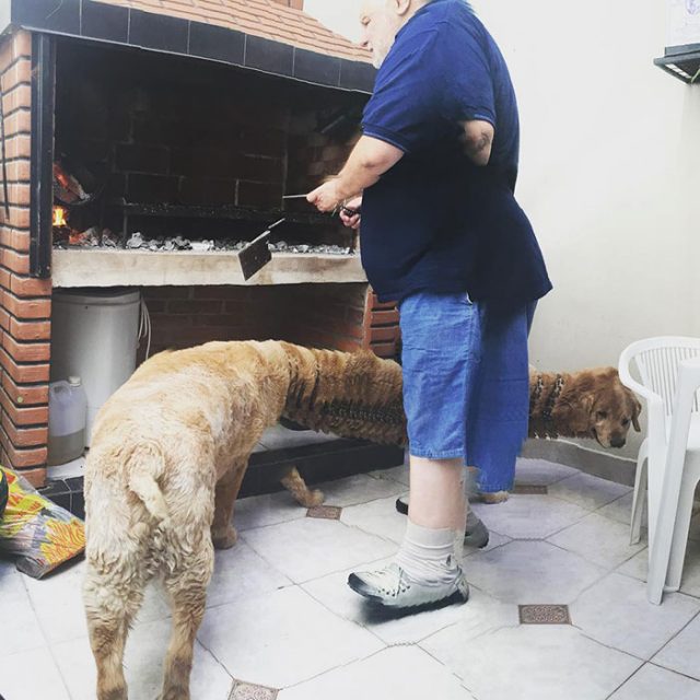 25 panoramas d’animaux qui sont si pourris qu’ils vont te faire rigoler ...