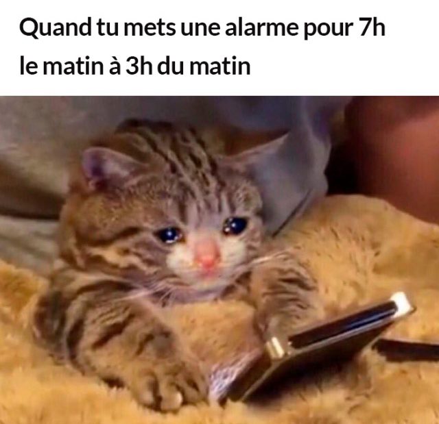 12 blagues sur le sommeil qui vont vous faire rire alors que vous ...