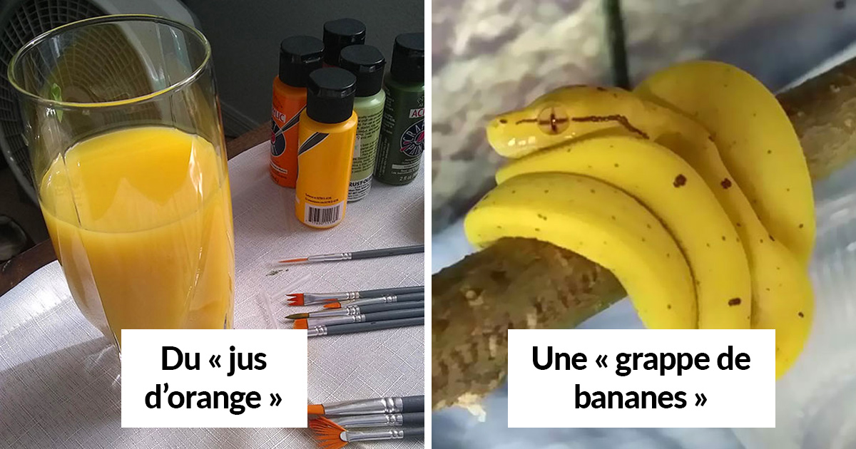 22 fois où des choses non comestibles ressemblaient à de la nourriture ...