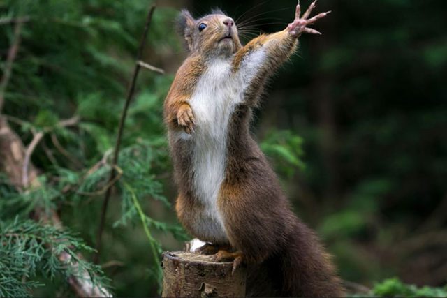 22 photos adorables pour célébrer la Journée d’appréciation des ...