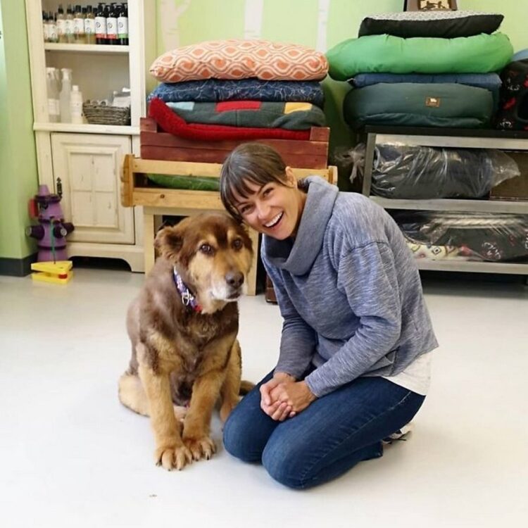 Ces photos sympas de vieux chiens montrent que les toutous âgés sont ...