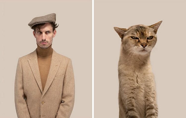 Ce photographe a pris des photos de 17 chats et humains qui sont des sosies