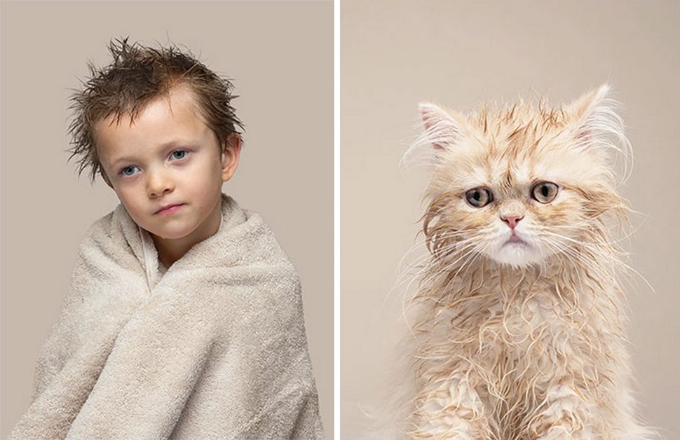 Ce photographe a pris des photos de 17 chats et humains qui sont des ...