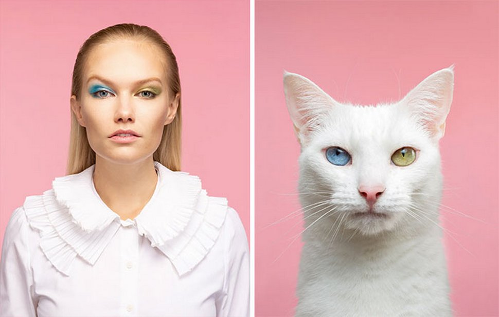 Ce photographe a pris des photos de 17 chats et humains qui sont des ...