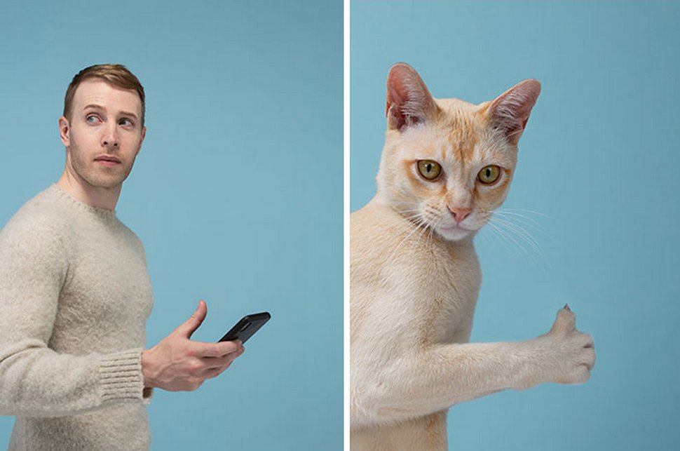 Ce photographe a pris des photos de 17 chats et humains qui sont des ...