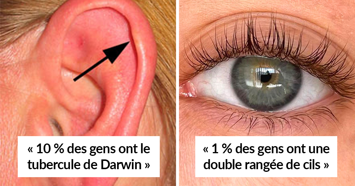 Cette personne vous invite à découvrir « À quel point votre corps est ...