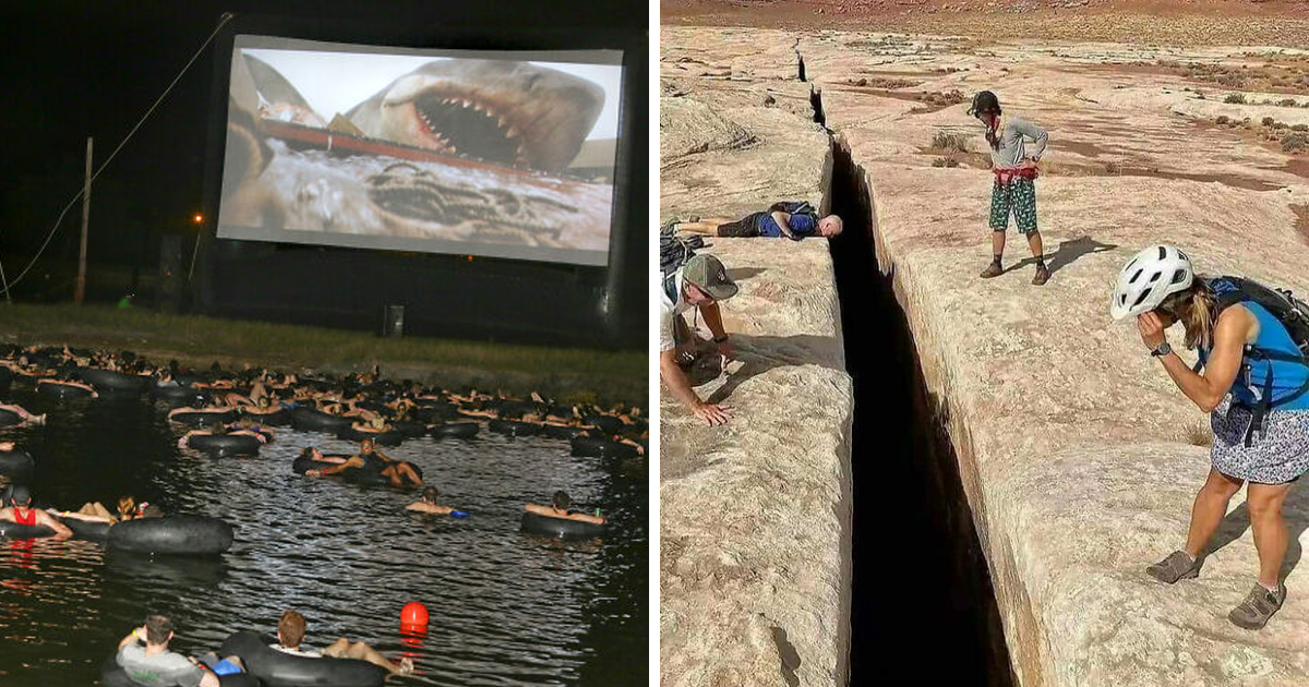 Ces images curieusement effrayantes vous donneront la chair de poule ...