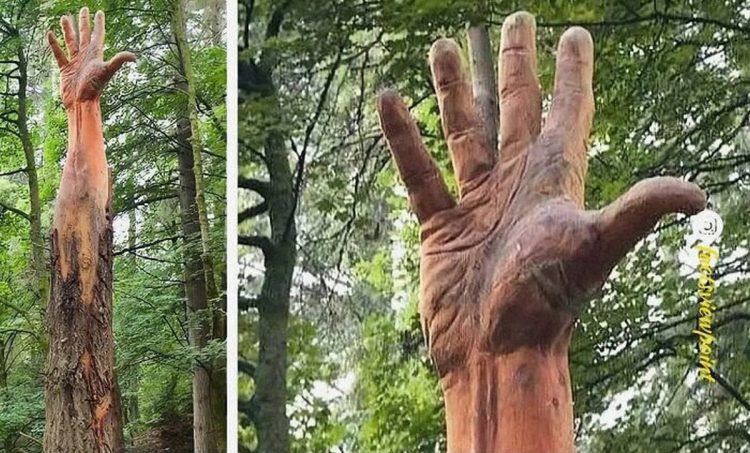 Des gens partagent des clichés qui provoquent la mégalophobie et voici ...