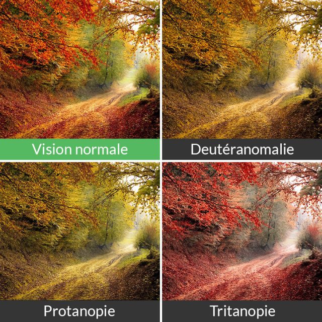 Voici comment les daltoniens voient le monde - ipnoze