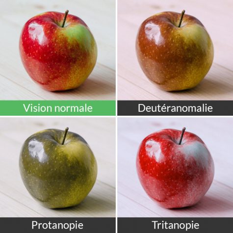 Voici comment les daltoniens voient le monde - ipnoze