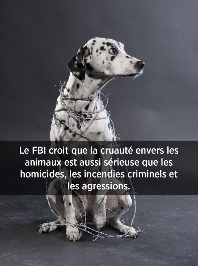 17 faits sympas qui vont vous faire sourire - ipnoze