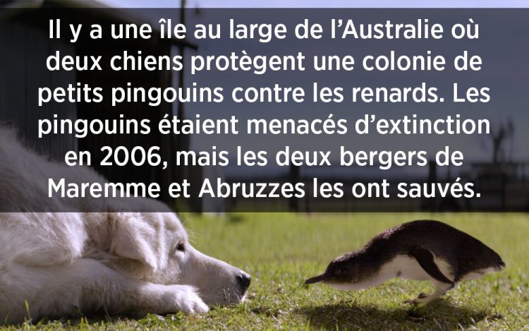 17 faits sympas qui vont vous faire sourire - ipnoze