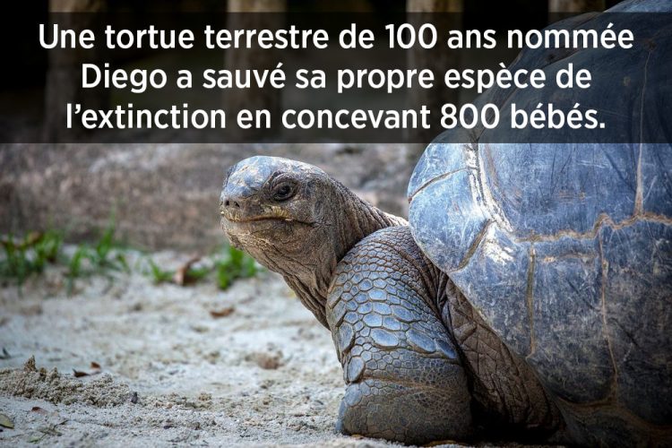 17 faits sympas qui vont vous faire sourire - ipnoze