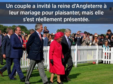 17 faits sympas qui vont vous faire sourire - ipnoze