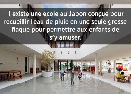 17 faits sympas qui vont vous faire sourire - ipnoze