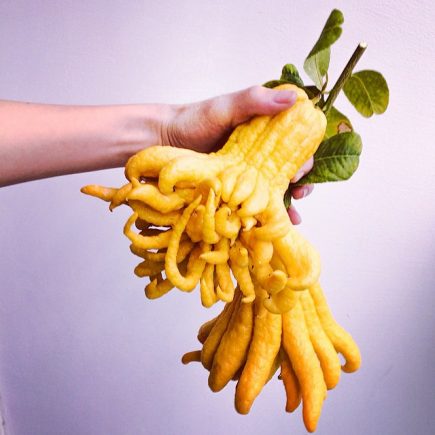 20 fruits exotiques les plus rares dont vous n’avez jamais entendu ...