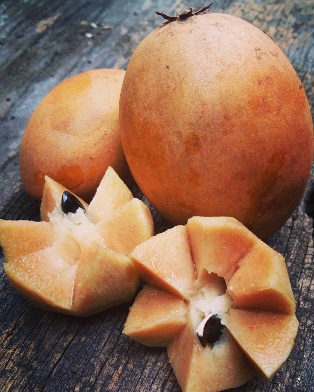 20 fruits exotiques les plus rares dont vous n’avez jamais entendu ...