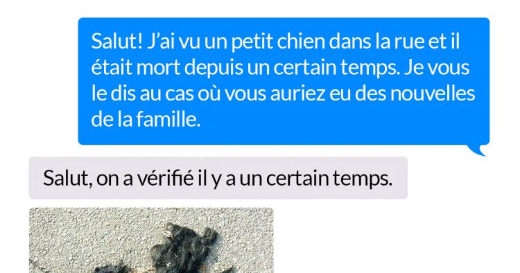 Une personne a appelé la police à propos d’un chien mort et elle est ...