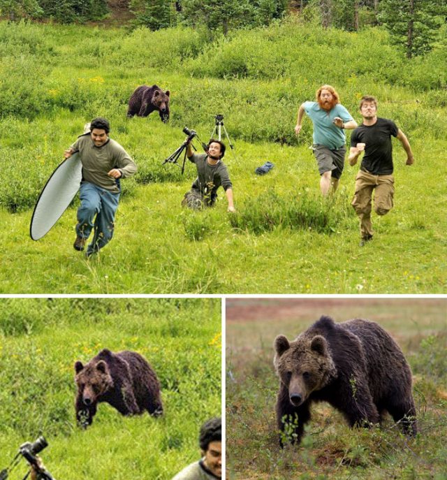 20 fausses photos virales que les gens croyaient vraies - ipnoze