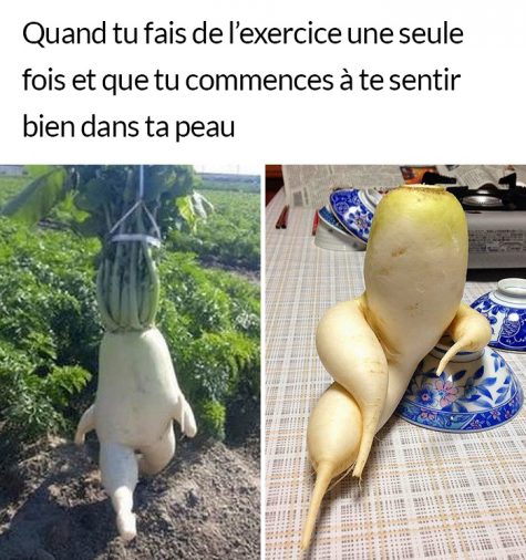 23 blagues sur la perte de poids et les régimes qui vont te faire ...