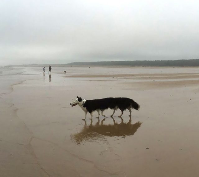 25 panoramas d’animaux qui sont si pourris qu’ils vont te faire rigoler ...