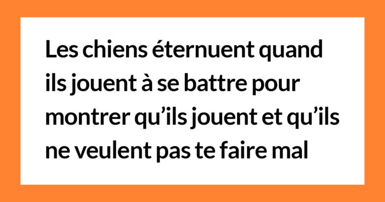 Voici des faits intéressants sur les animaux que vous pourrez ...