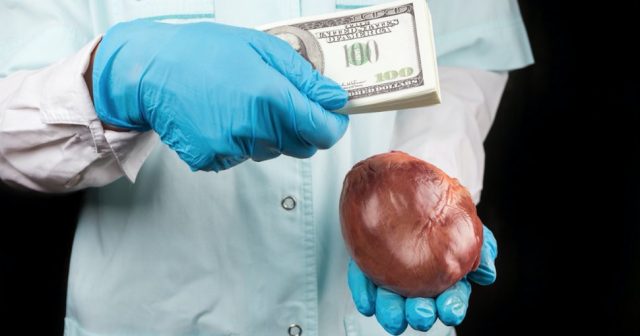 Un adolescent qui a vendu son rein pour obtenir un iPhone est ...