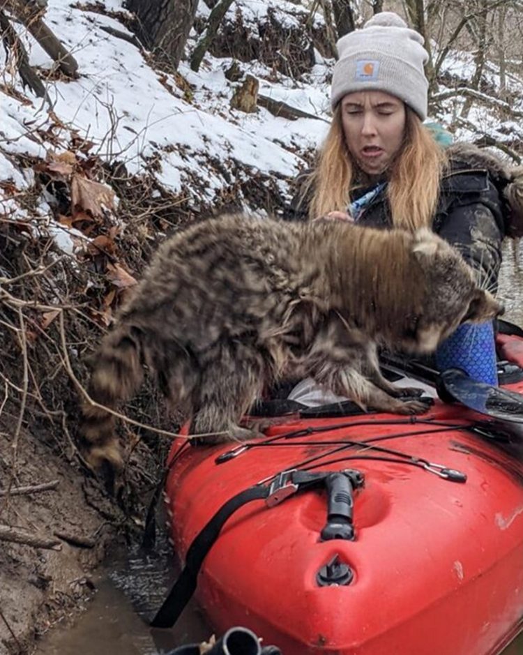 Ce groupe Facebook se consacre aux photos d’animaux sauvages pourries ...