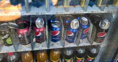 Ces photos montrent les conséquences des canicules - ipnoze