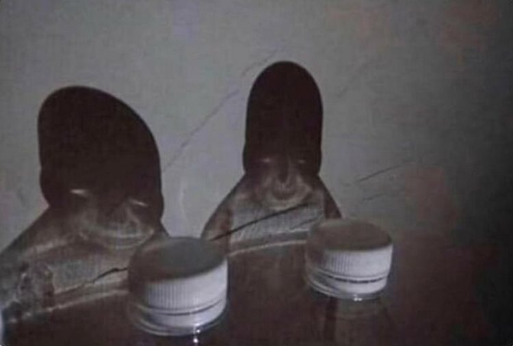 Ces images sont étranges et curieusement effrayantes - ipnoze