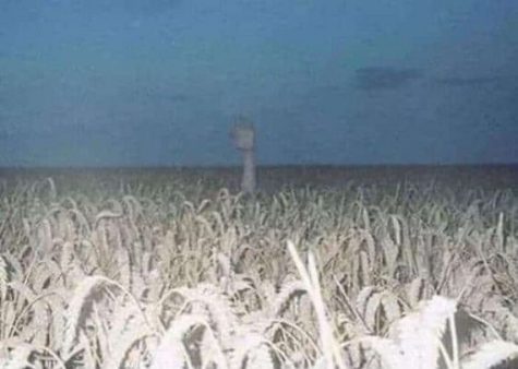 Ces images sont étranges et curieusement effrayantes - ipnoze